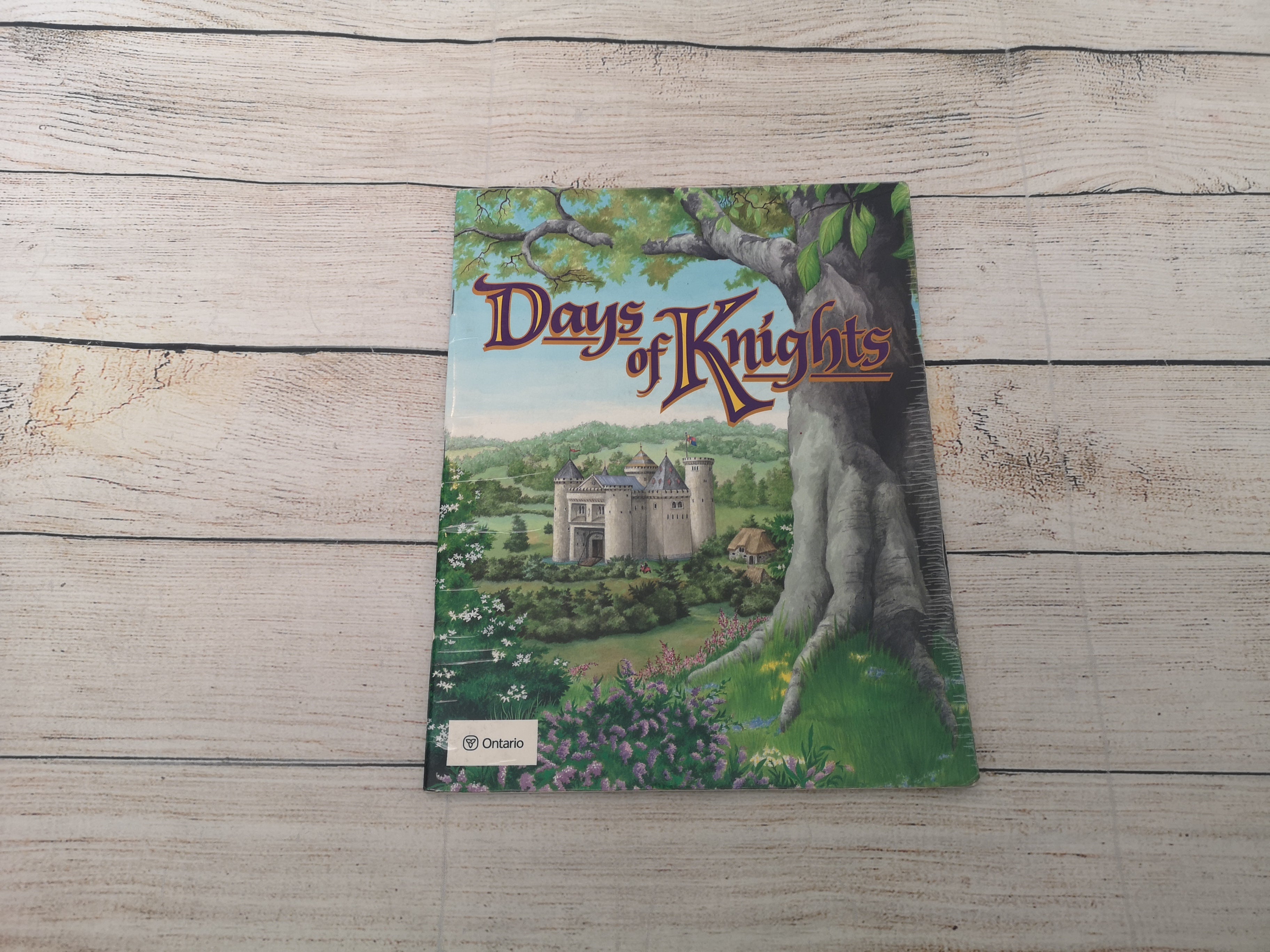 Days of Knights – My Kids Closet